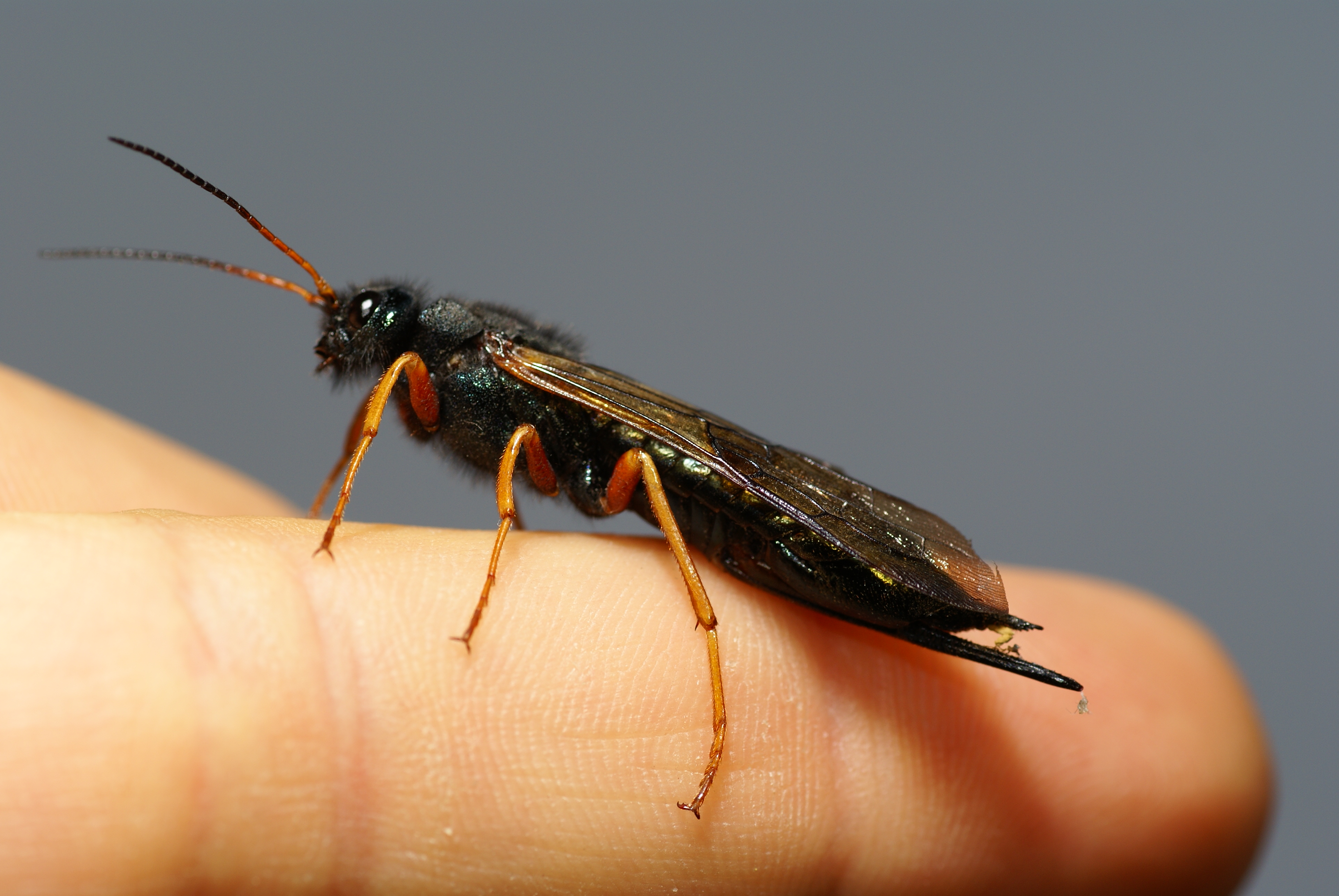 häbitu repost a hea meeldetuletus : r/Eesti